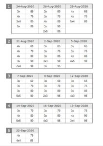 Smolov + Smolov Jr Bench & Squat Program Spreadsheets (2025) - Lift Vault