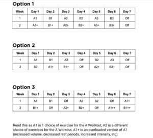 Quarantine Home Workouts with Spreadsheets (Low/No Equipment) - Lift Vault