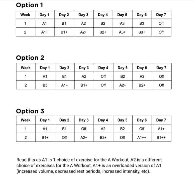 Quarantine Home Workouts with Spreadsheets (Low/No Equipment) - Lift Vault