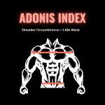 Adonis Index: Definition + How to Calculate It (2025) - Lift Vault