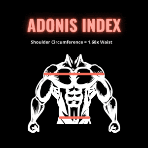 Adonis Index: Definition + How to Calculate It (2025) - Lift Vault