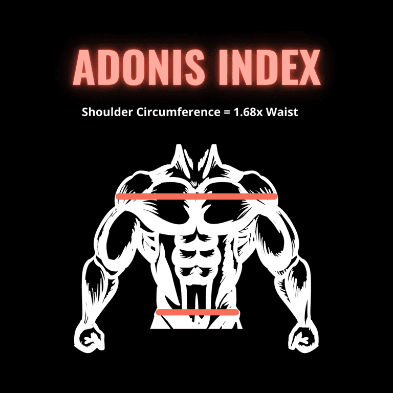 Adonis Index: Definition + How to Calculate It (2025) - Lift Vault
