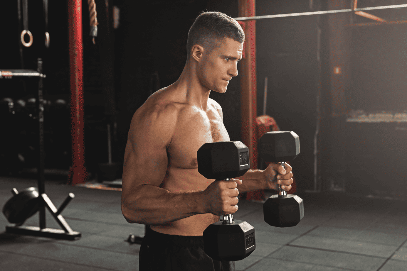 Hammer Curl Benefits and Muscles Worked (2026) - Lift Vault